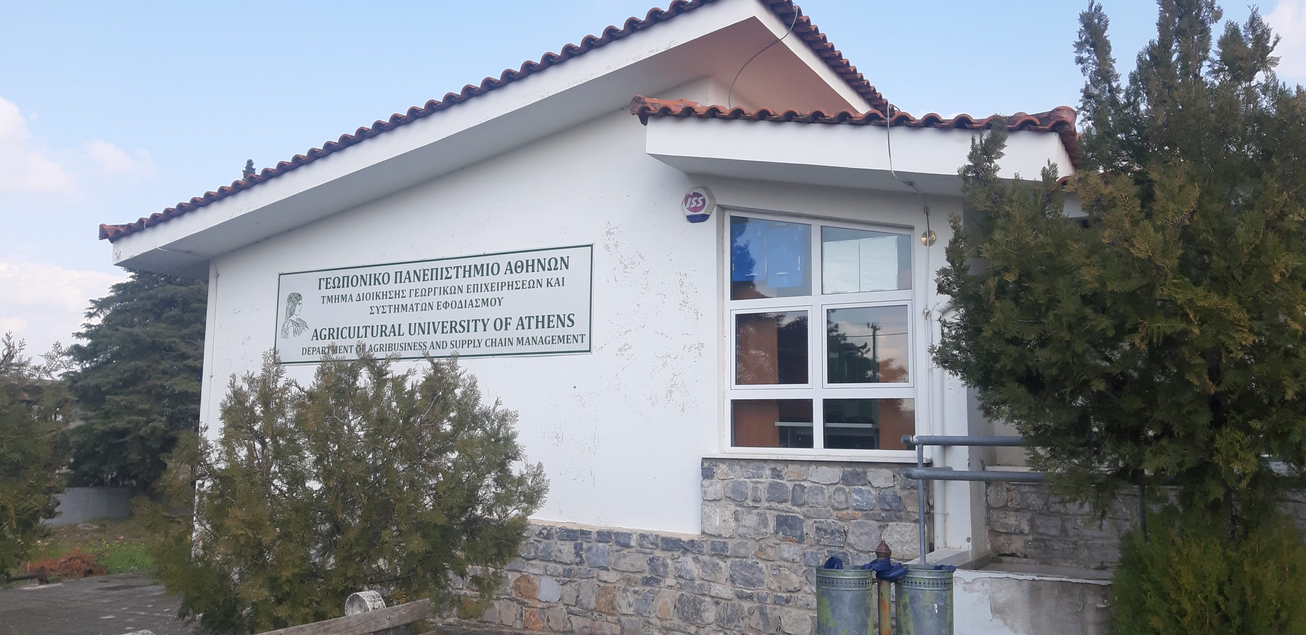 Το Τμήμα - Τμήμα ΔΙΓΕΣΕ