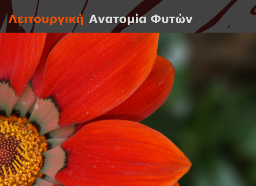 ΑΡΧΙΚΗ - Τμήμα ΕΦΠ
