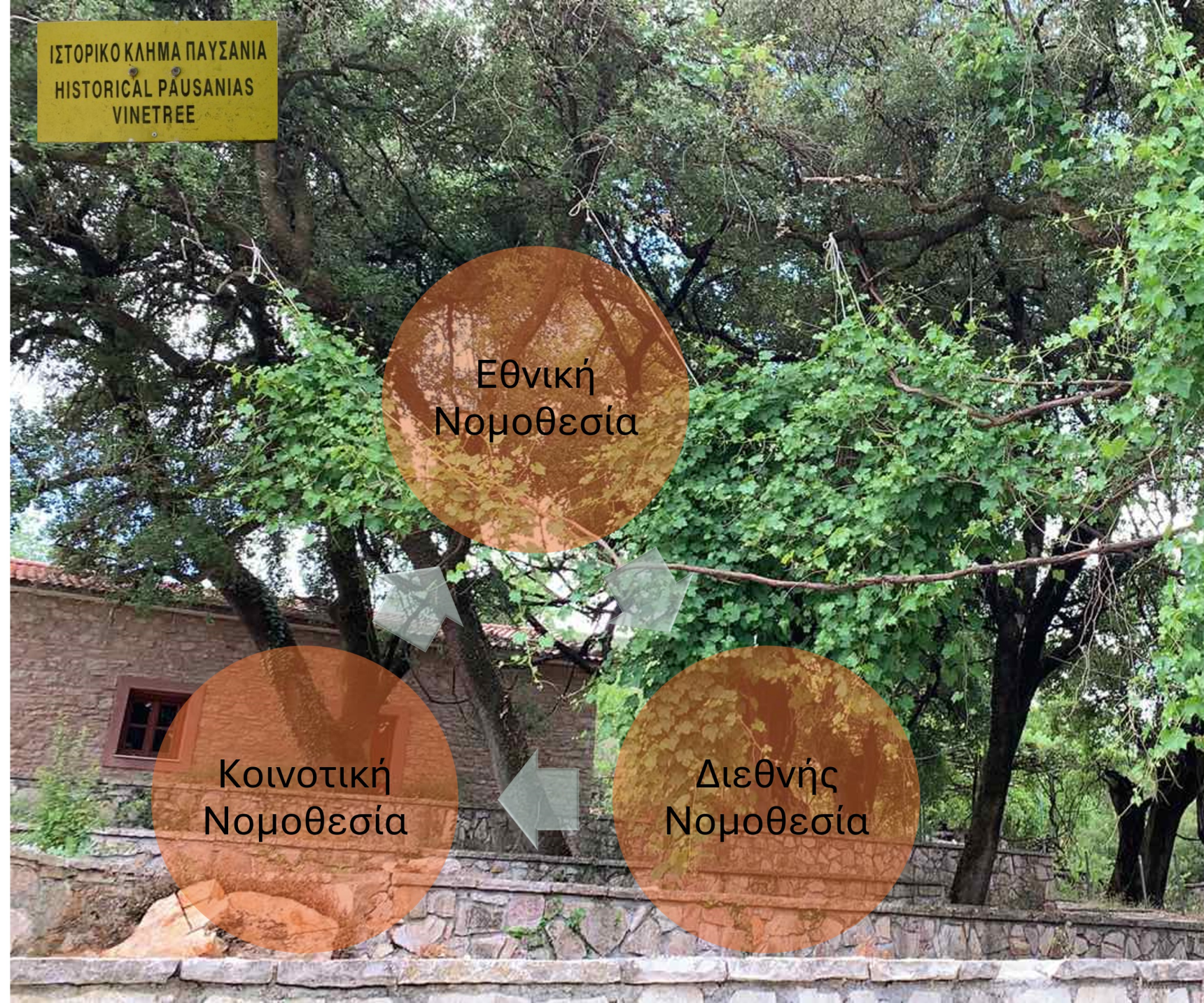 Legislation and Project Management - Τμήμα ΕΦΠ